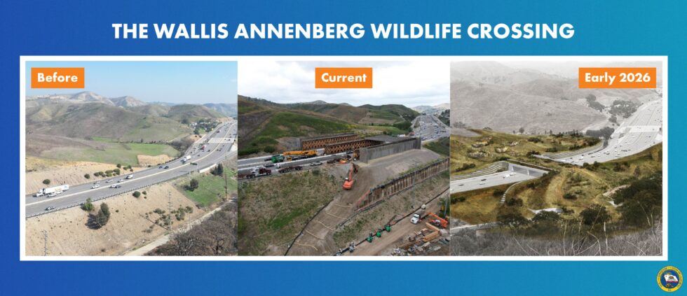 World’s largest wildlife crossing on track to open by early 2026 ...