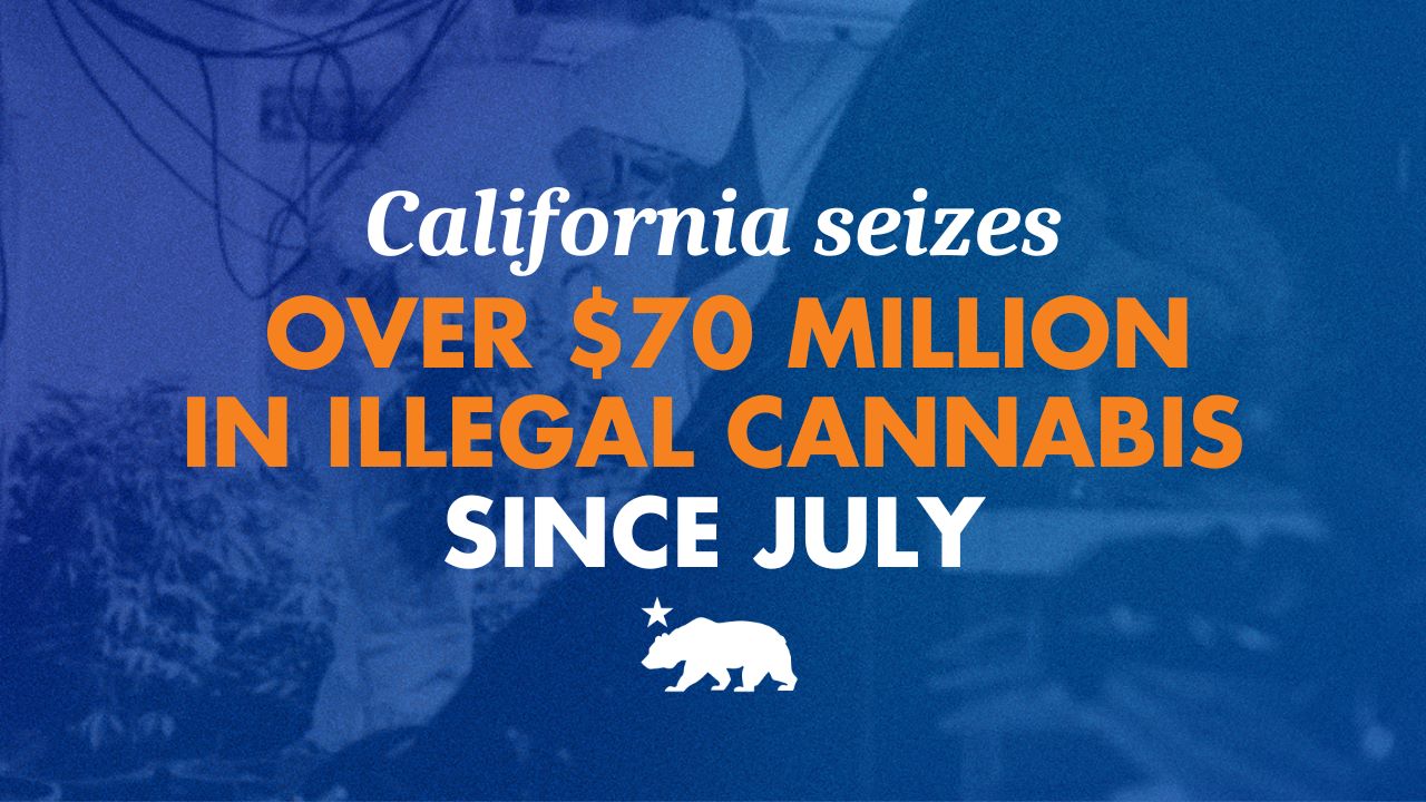 California seizes over $70 million in illegal cannabis since July ...