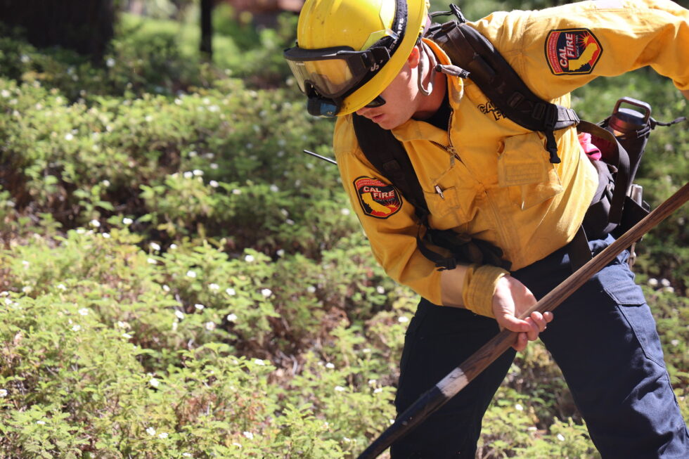 Here’s how California has increased wildfire response and forest ...