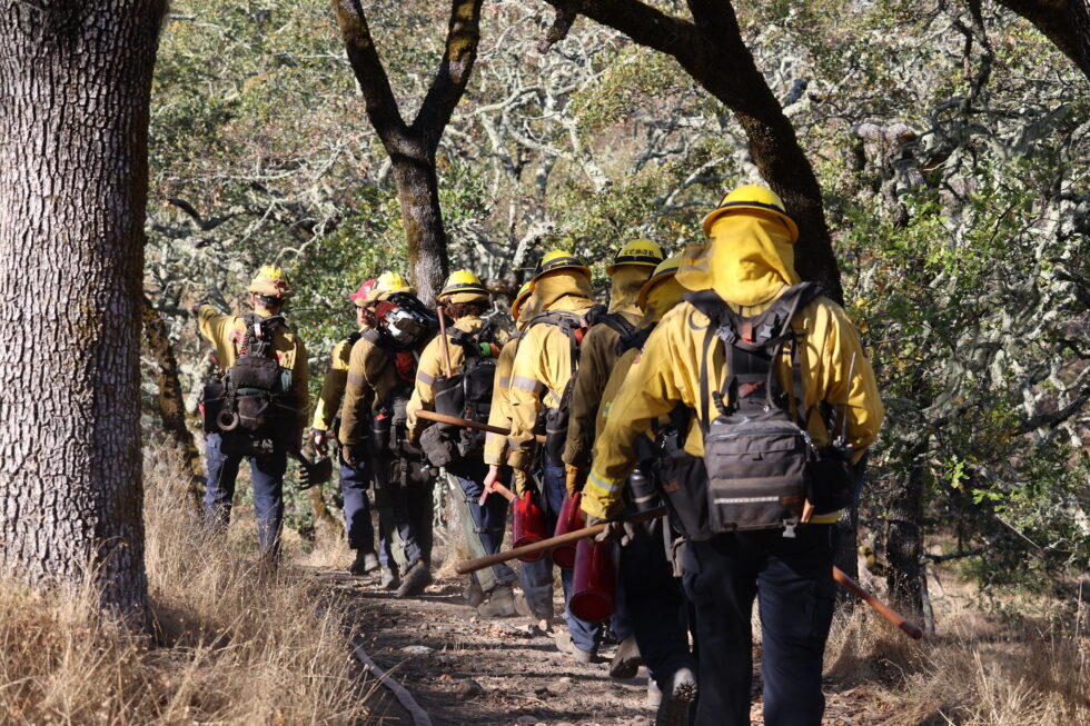 Here’s how California has increased wildfire response and forest ...