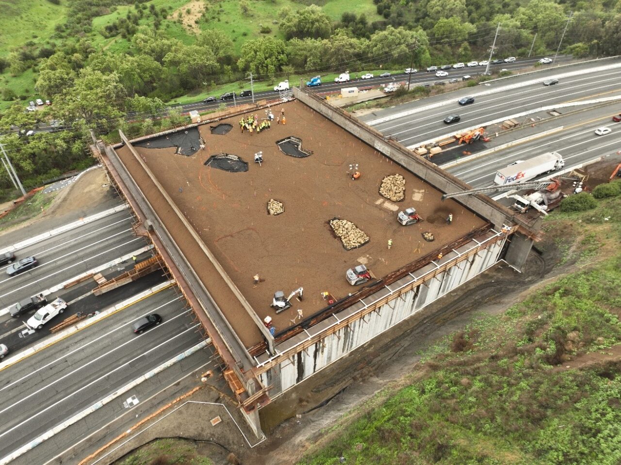 World’s largest wildlife crossing reaches new milestone as habitat ...