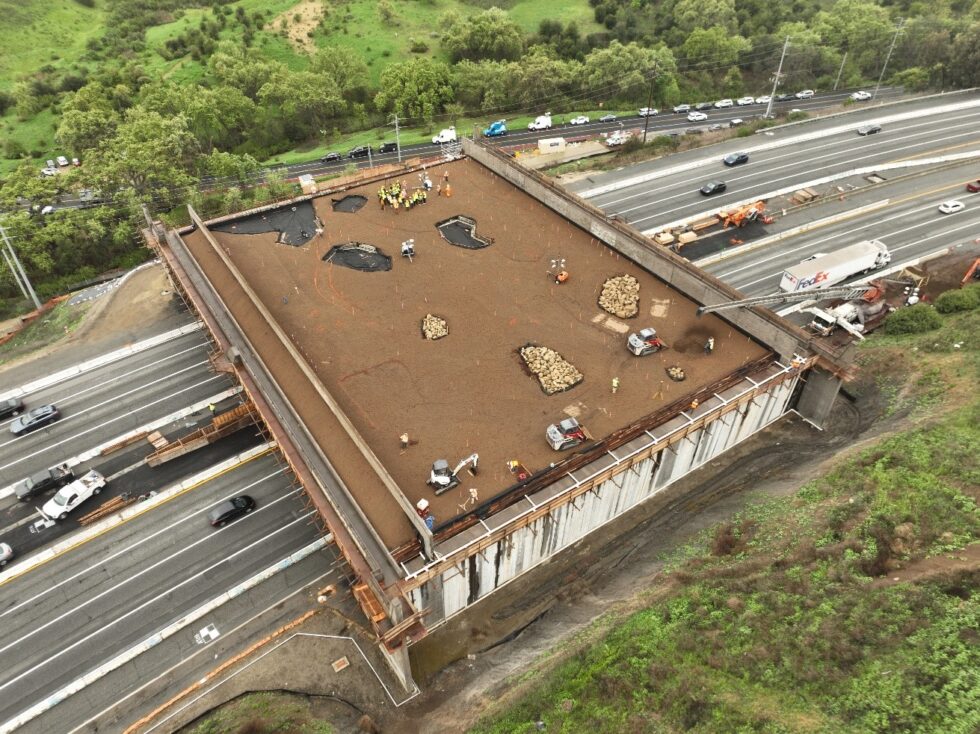 World’s largest wildlife crossing reaches new milestone as habitat ...