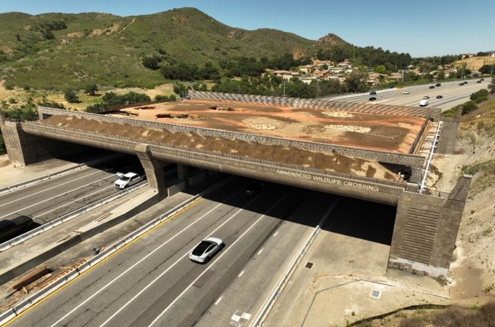 California enters final phase of construction on world’s largest ...