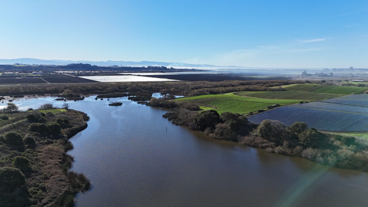 California approves $60 million for biodiversity projects and public ...