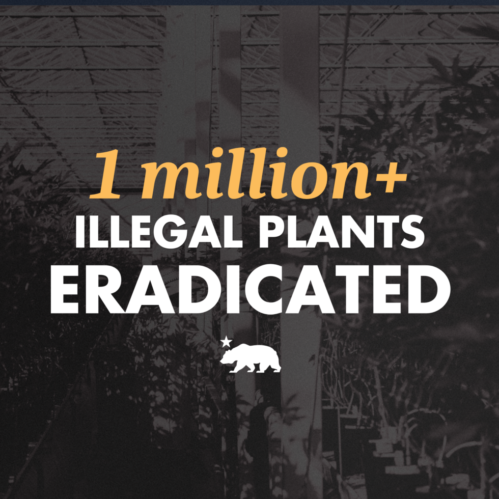 California marks 10 years since voter-approved cannabis legalization ...