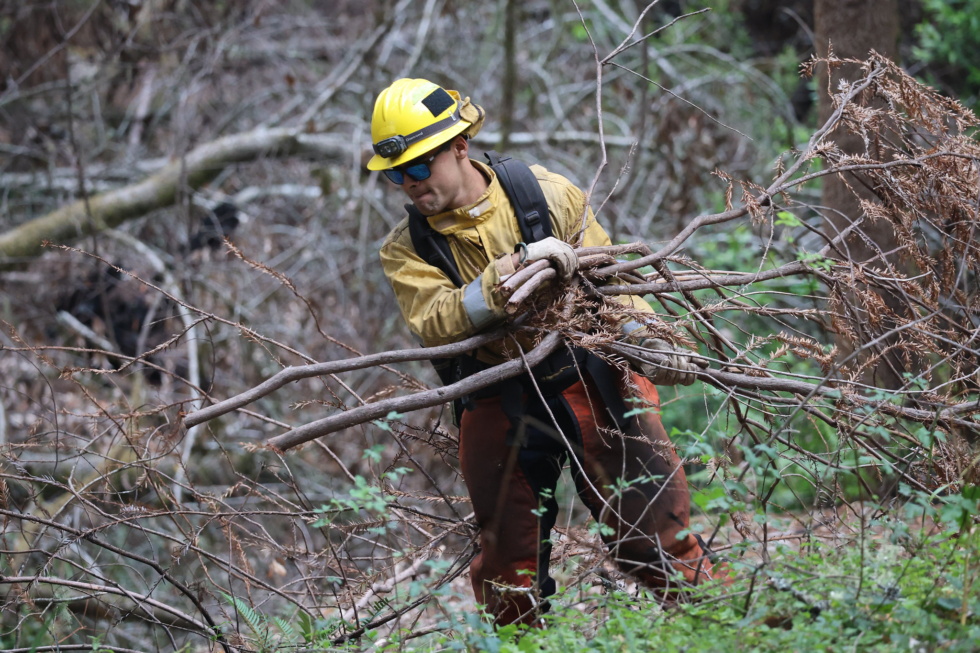 During Wildfire Preparedness Week, Governor Newsom announces $70 ...