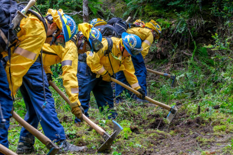 Governor Newsom announces major hiring milestone with over 1,000 young ...